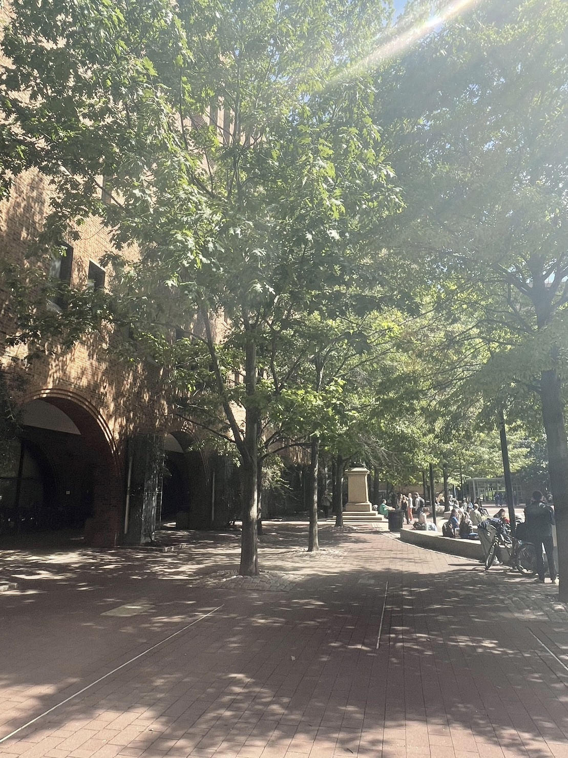 米国財団法人野口医学研究所